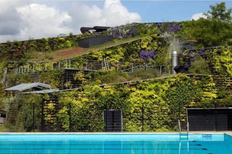 9 Best Swimming Pools in Amsterdam (Private & Public)