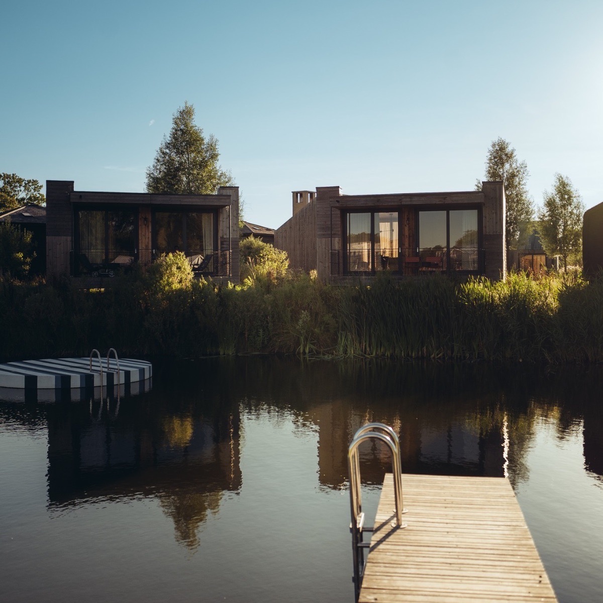 7 Cozy Cabins in the Netherlands in 2023 (Luxury Getaways)